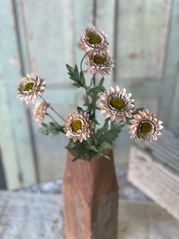 Horizon Blooms – J H McCommons Co.